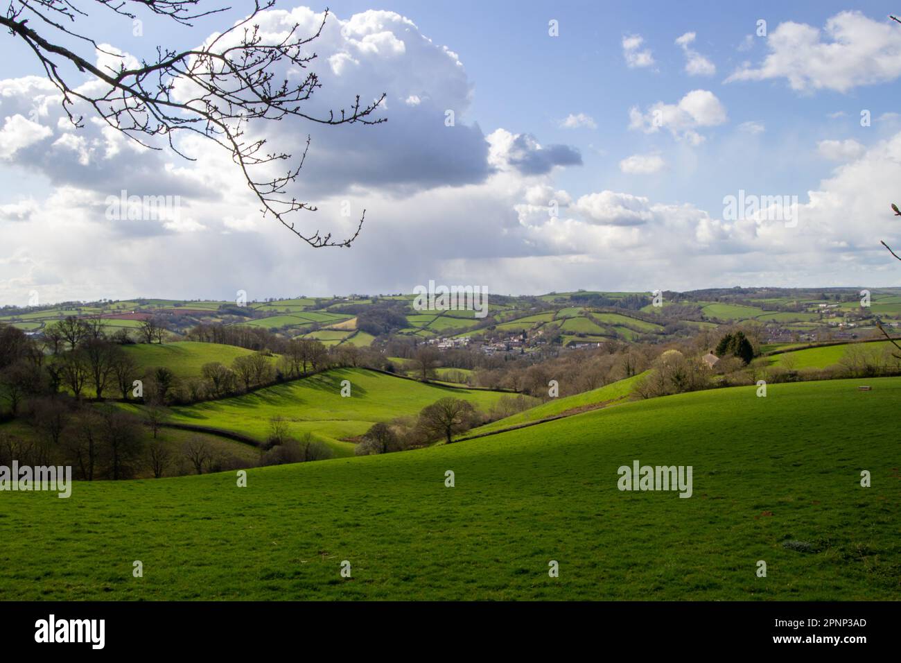 Typical countryside of Devon with green fields, gentle hills with ...