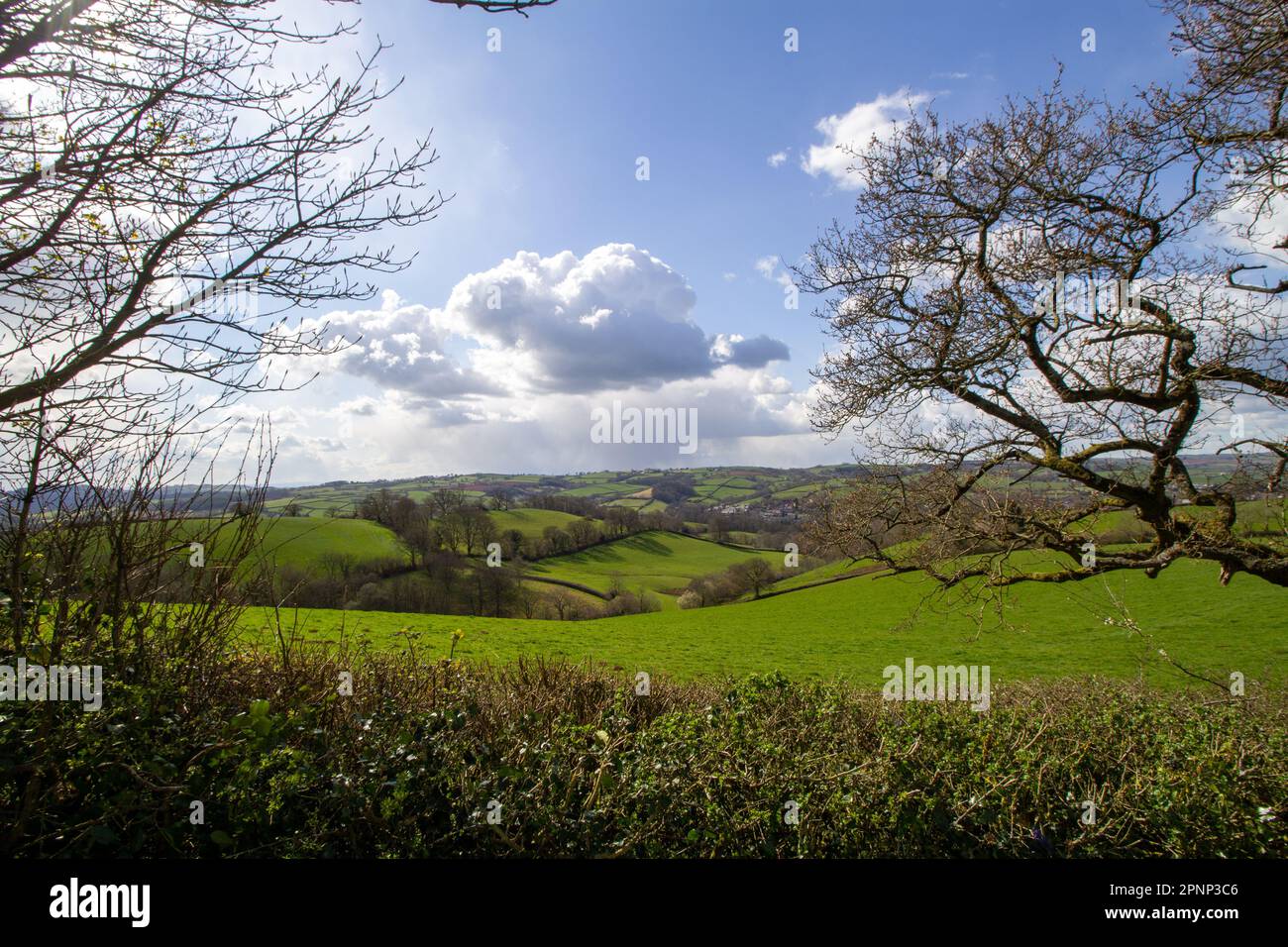 Typical countryside of Devon with green fields, gentle hills with ...