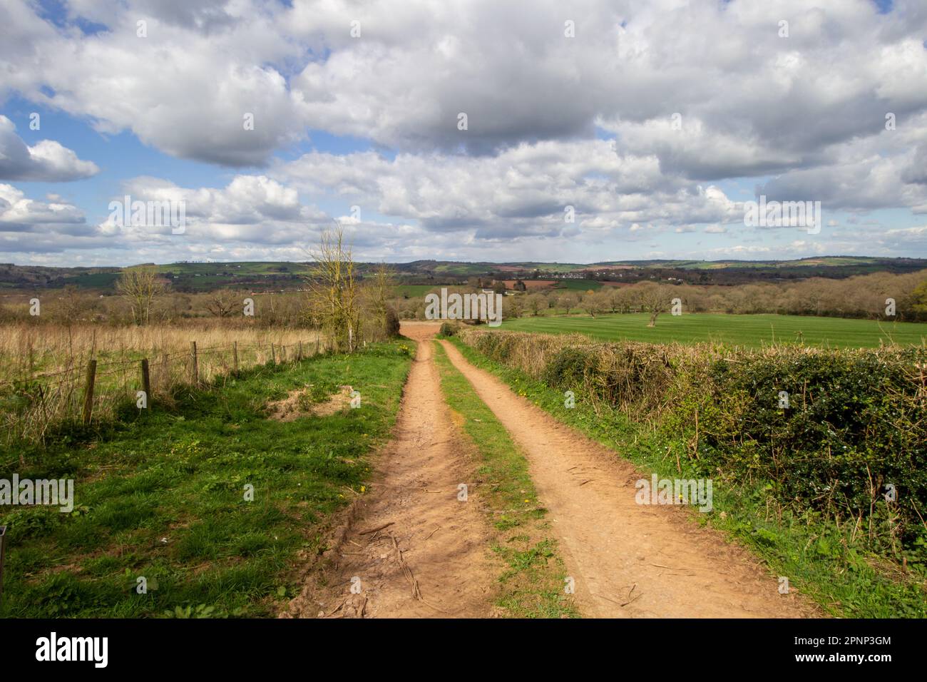Typical countryside of Devon with green fields, gentle hills with ...