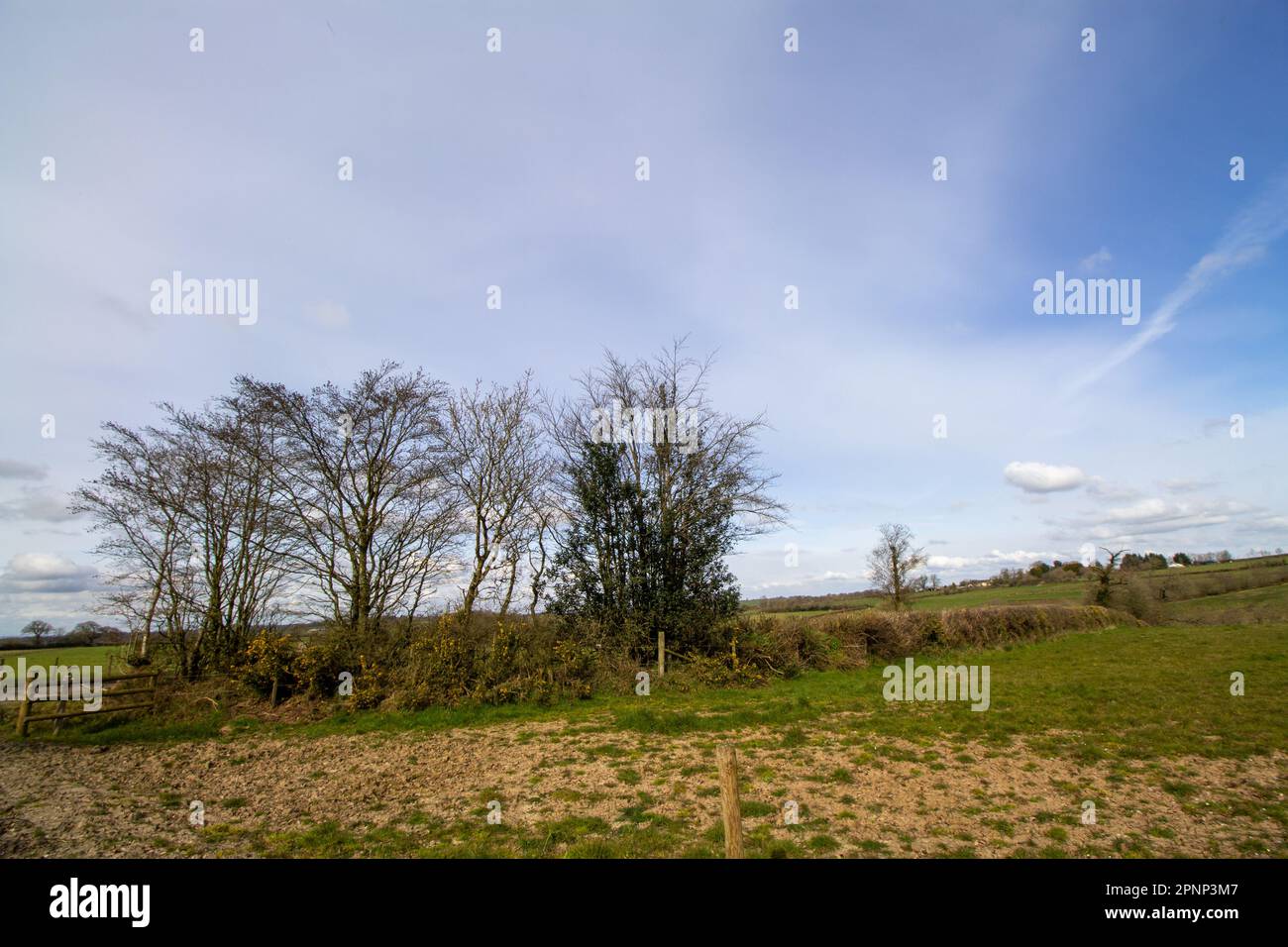 Typical countryside of Devon with green fields, gentle hills with ...