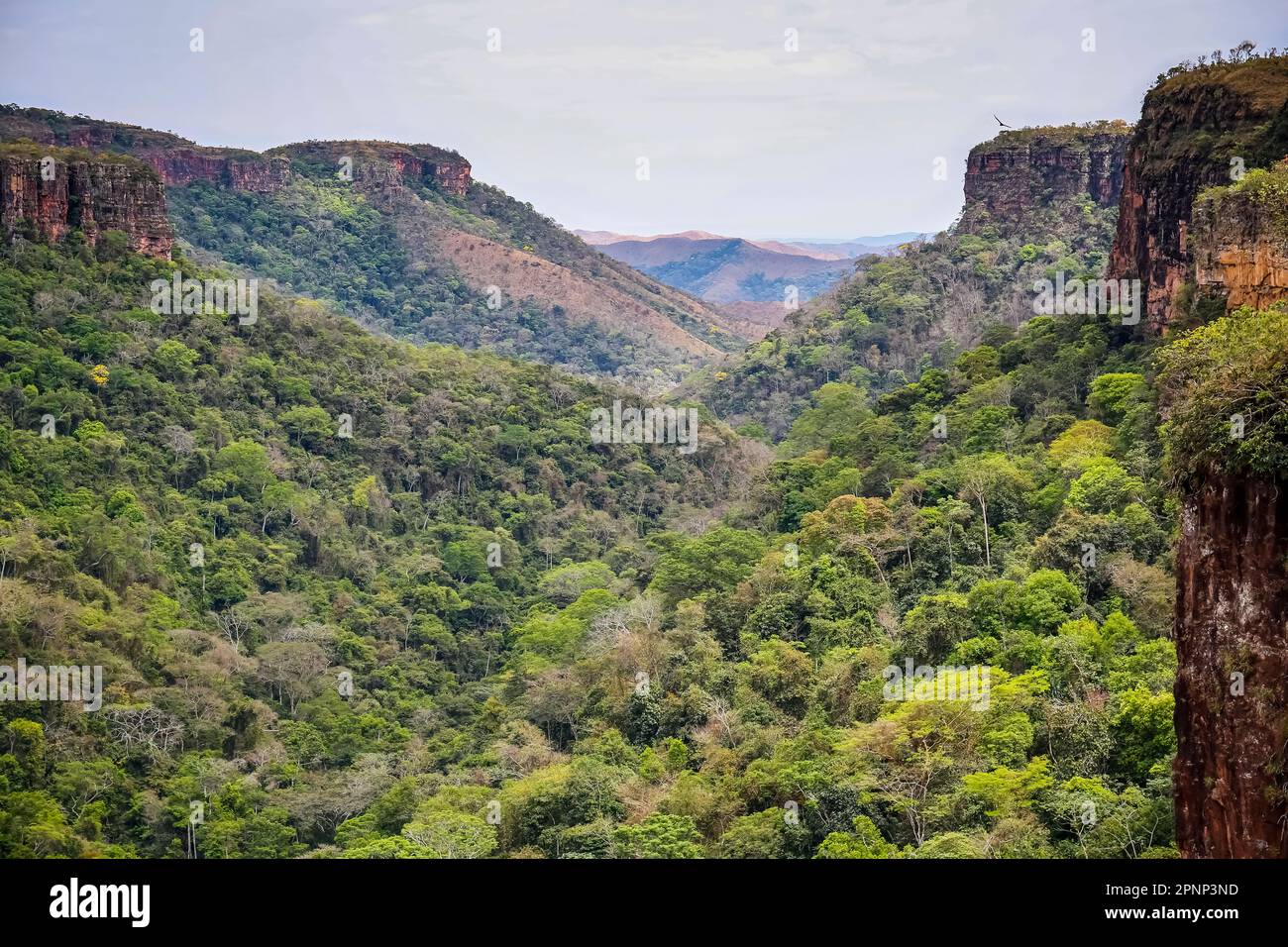 Panoramic view from top of cliffs in an opening valley in the late ...