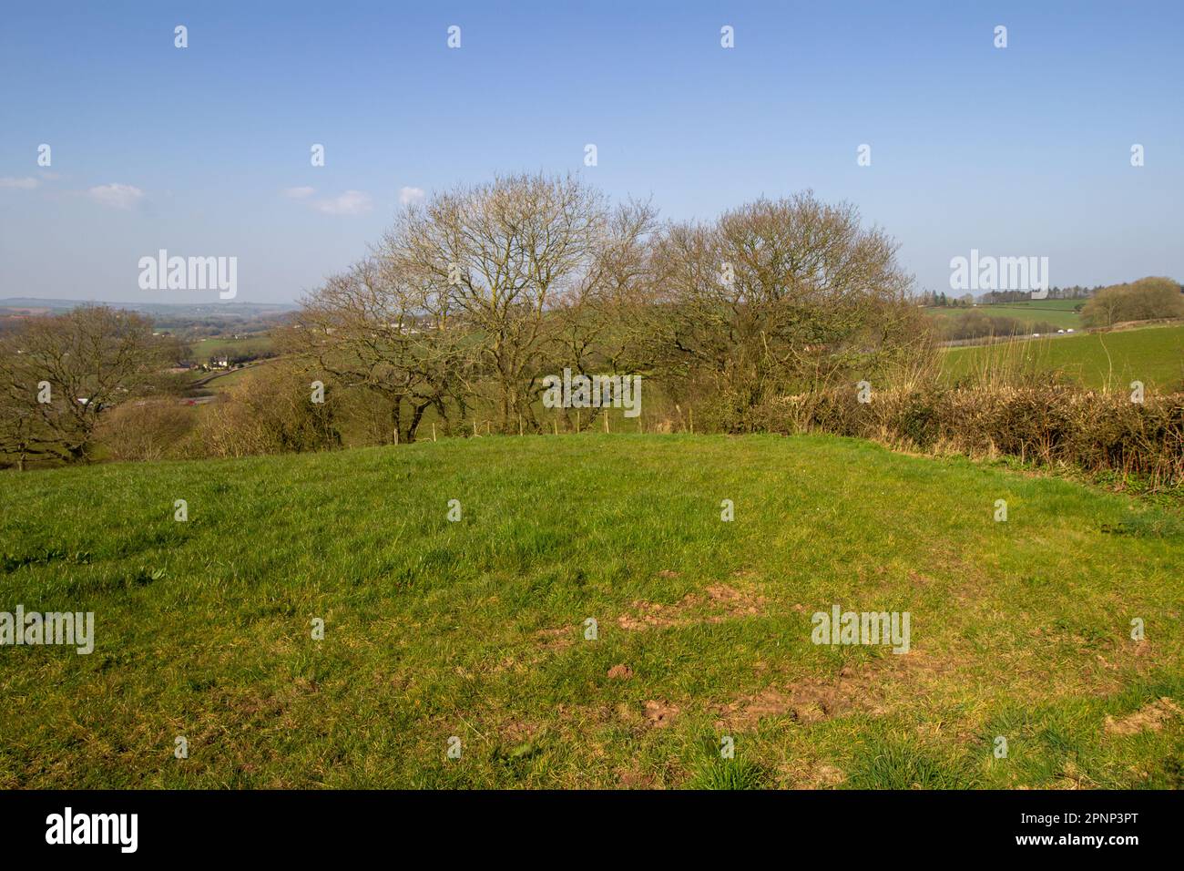 typical Devon countryside in winter (March) with green fields, trees ...