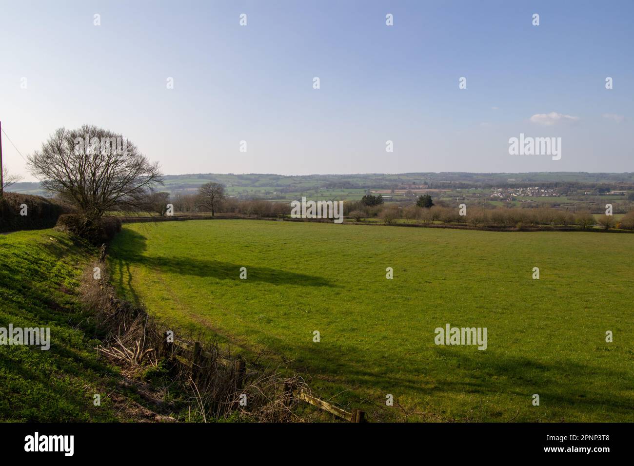 typical Devon countryside in winter (March) with green fields, trees ...