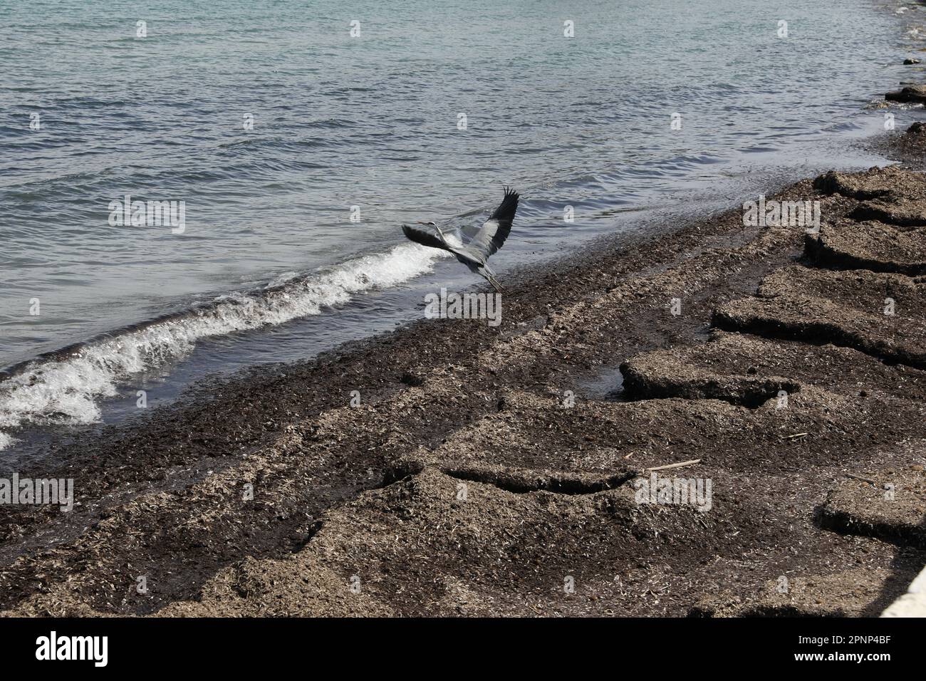 Mediterranean natural landscape Stock Photo - Alamy