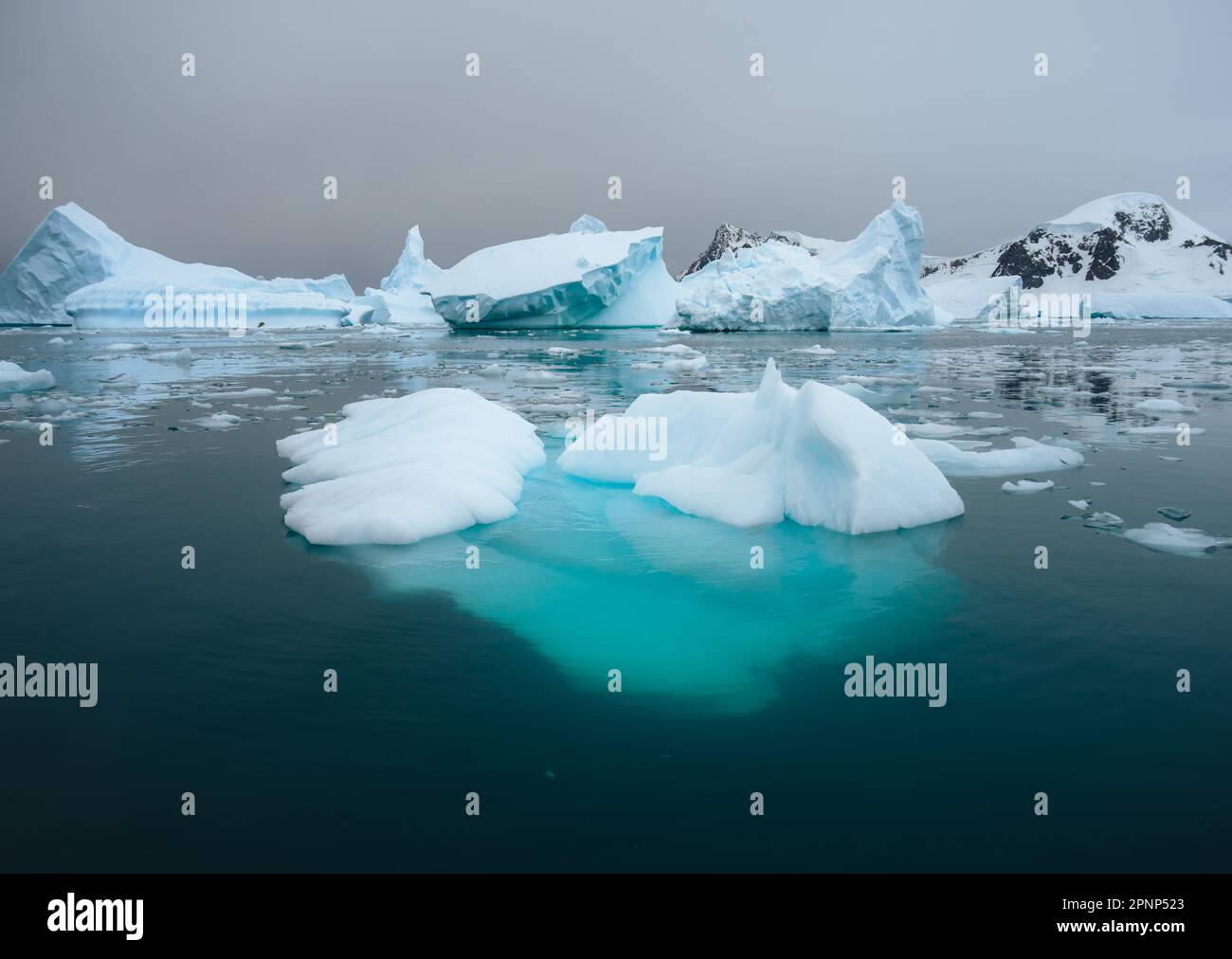 Antarctic nature landscape with icebergs in Greenland icefjord during ...