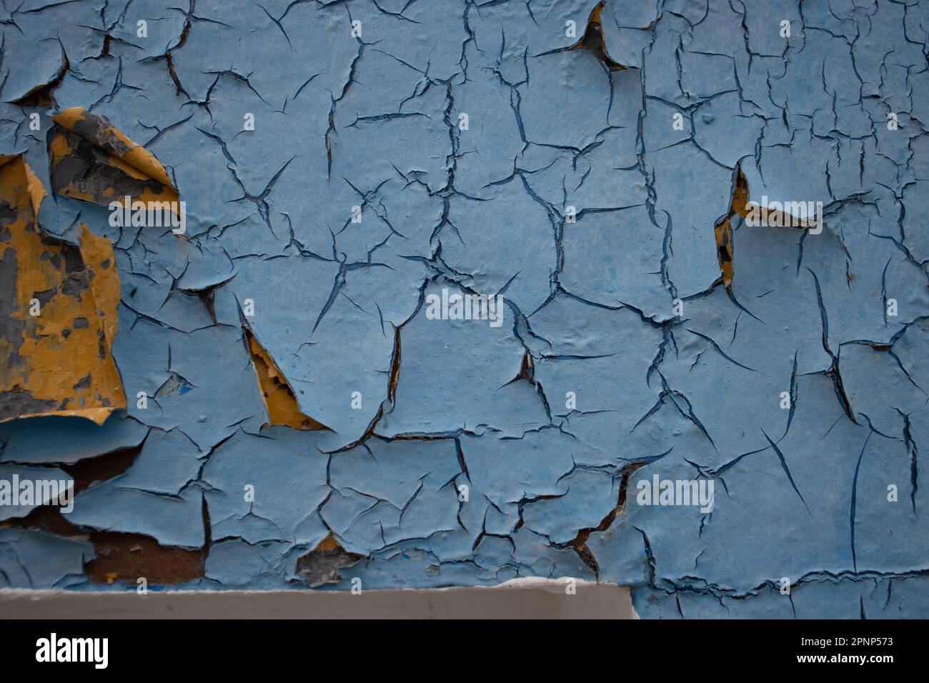 peeling blue paint on a wall with yellow paint underneath Stock Photo ...