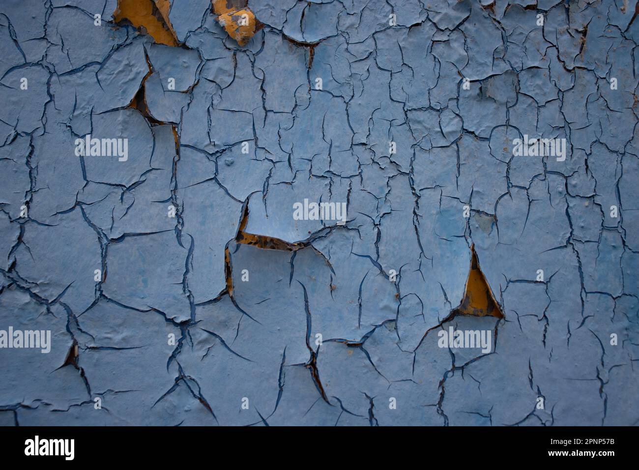 peeling blue paint on a wall with yellow paint underneath Stock Photo ...