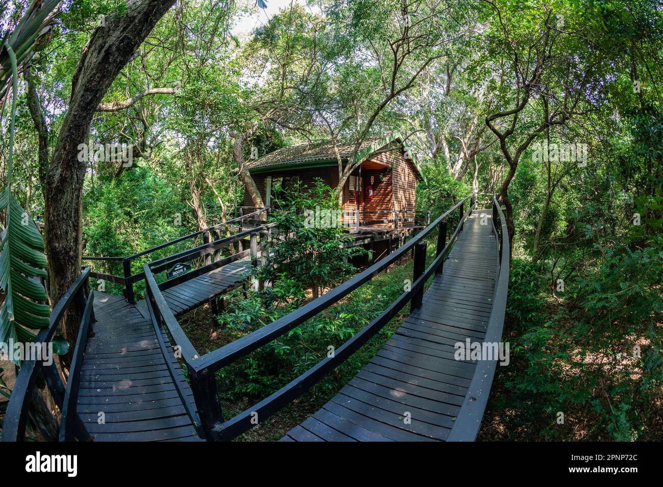 Wilderness Wildlife Bush Safari Camping Cottage Cabin raised with ...