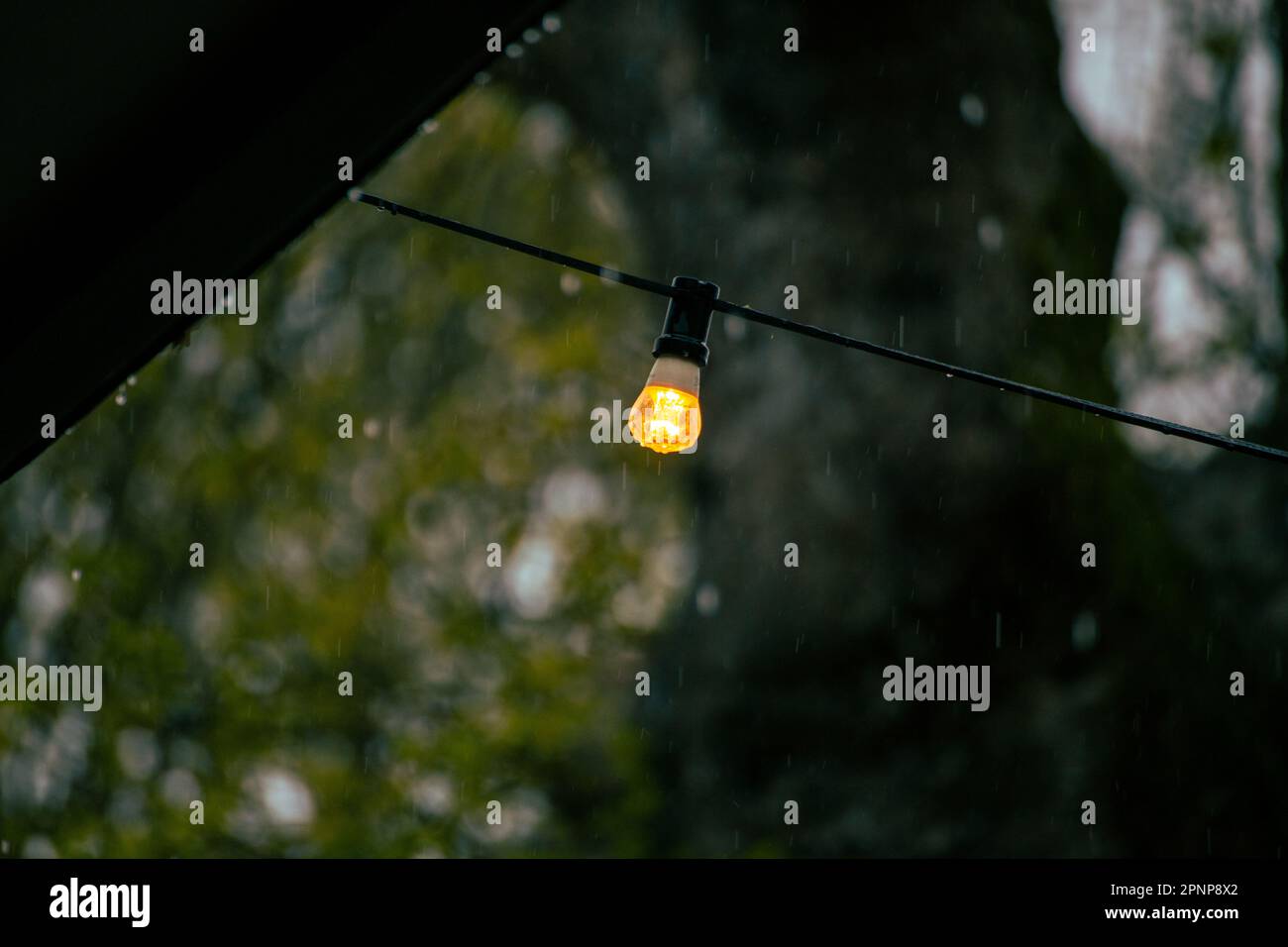 Light buld In the rain Stock Photo - Alamy
