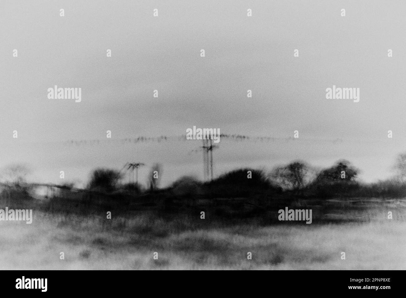 Birds resting on the wire Stock Photo - Alamy