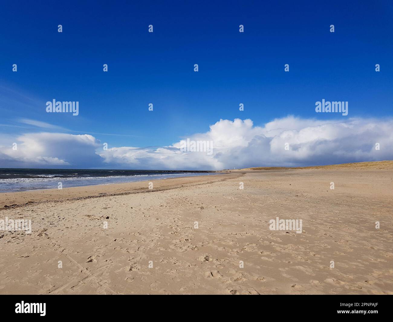 the endless beach at the northern sea Hvidbjerg Stranden Blavand ...
