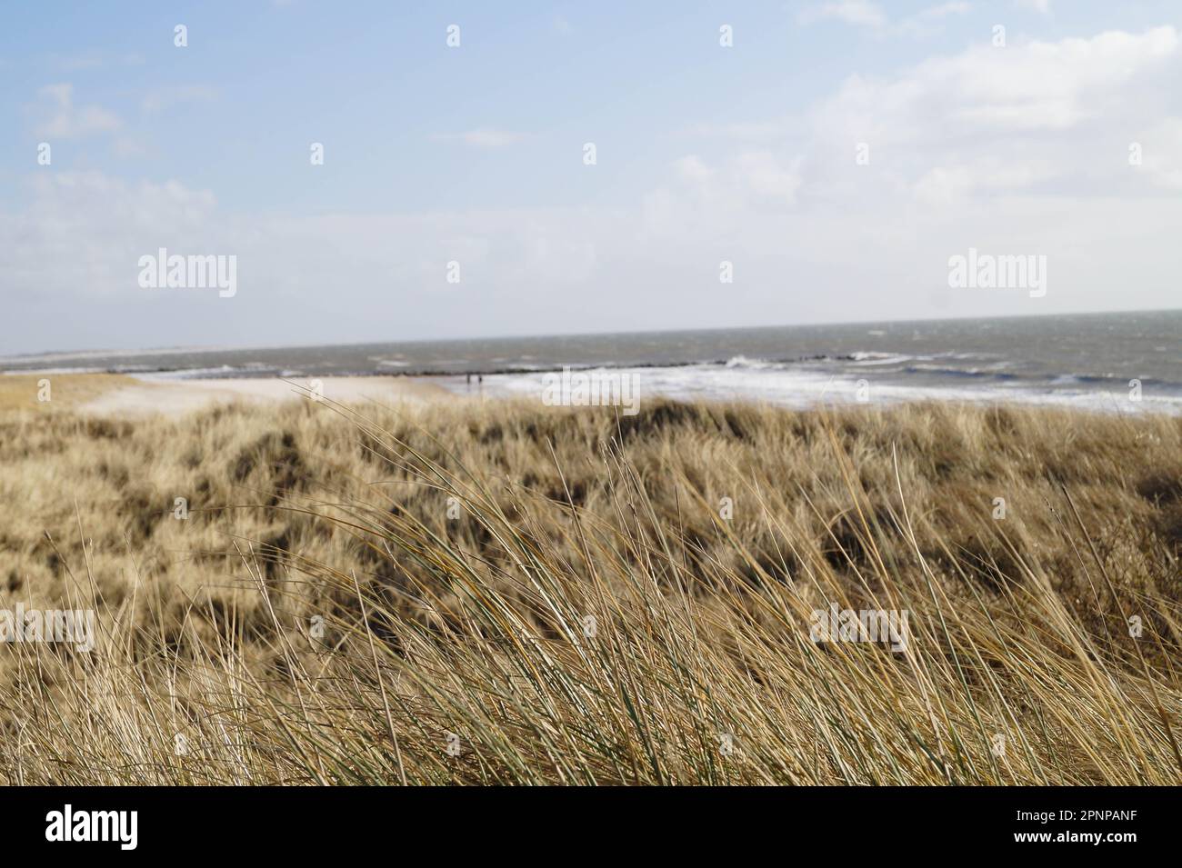 the endless beach at the northern sea Hvidbjerg Stranden Blavand ...