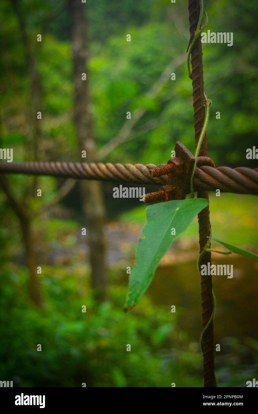 Frayed steel cable hi-res stock photography and images - Alamy