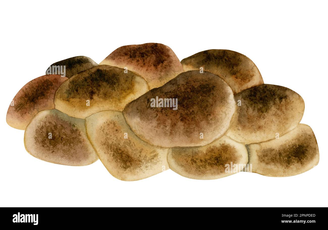 Watercolor challah Jewish bread, Fresh homemade braided egg bread ...
