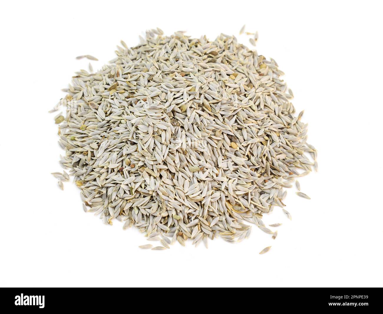 Lettuce seeds on a white background. Pile of lettuce seeds ready to ...