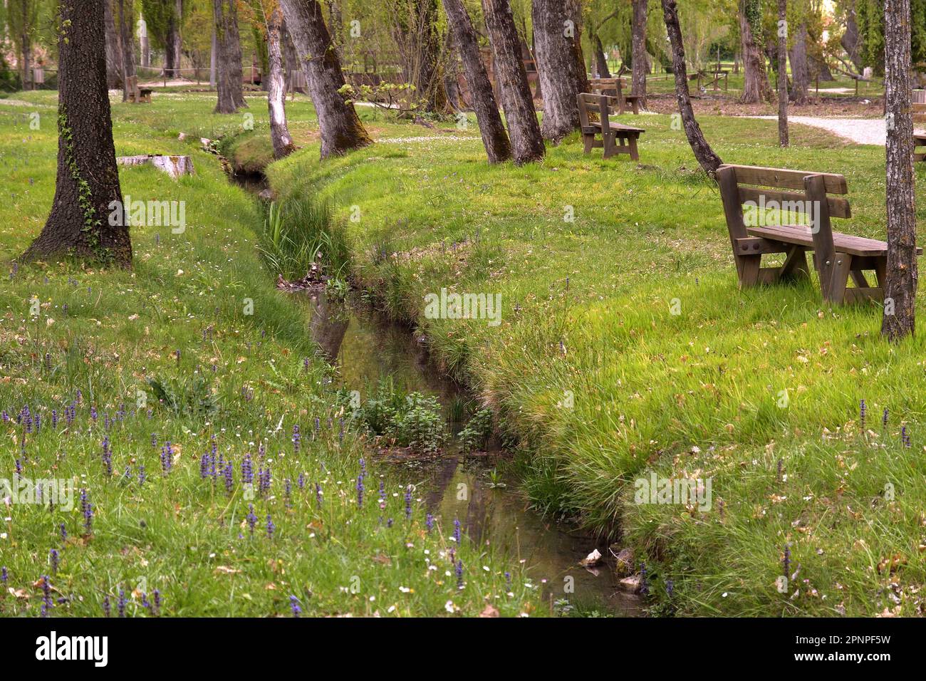 Little benches hi-res stock photography and images - Alamy