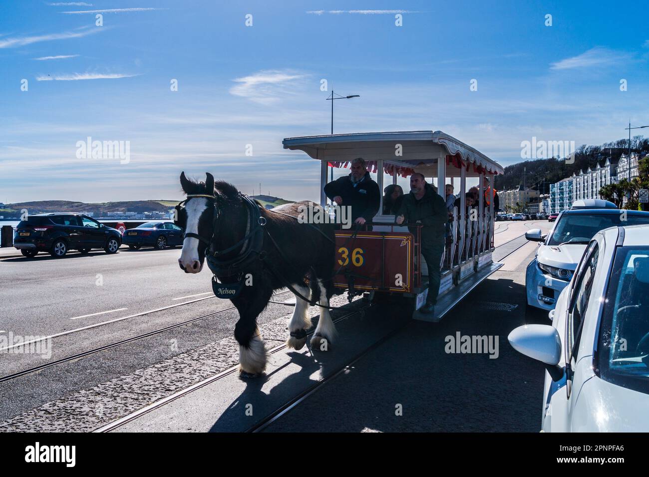 Horse Tram, horse-drawn passenger tram, Douglas, Isle of Man Stock ...
