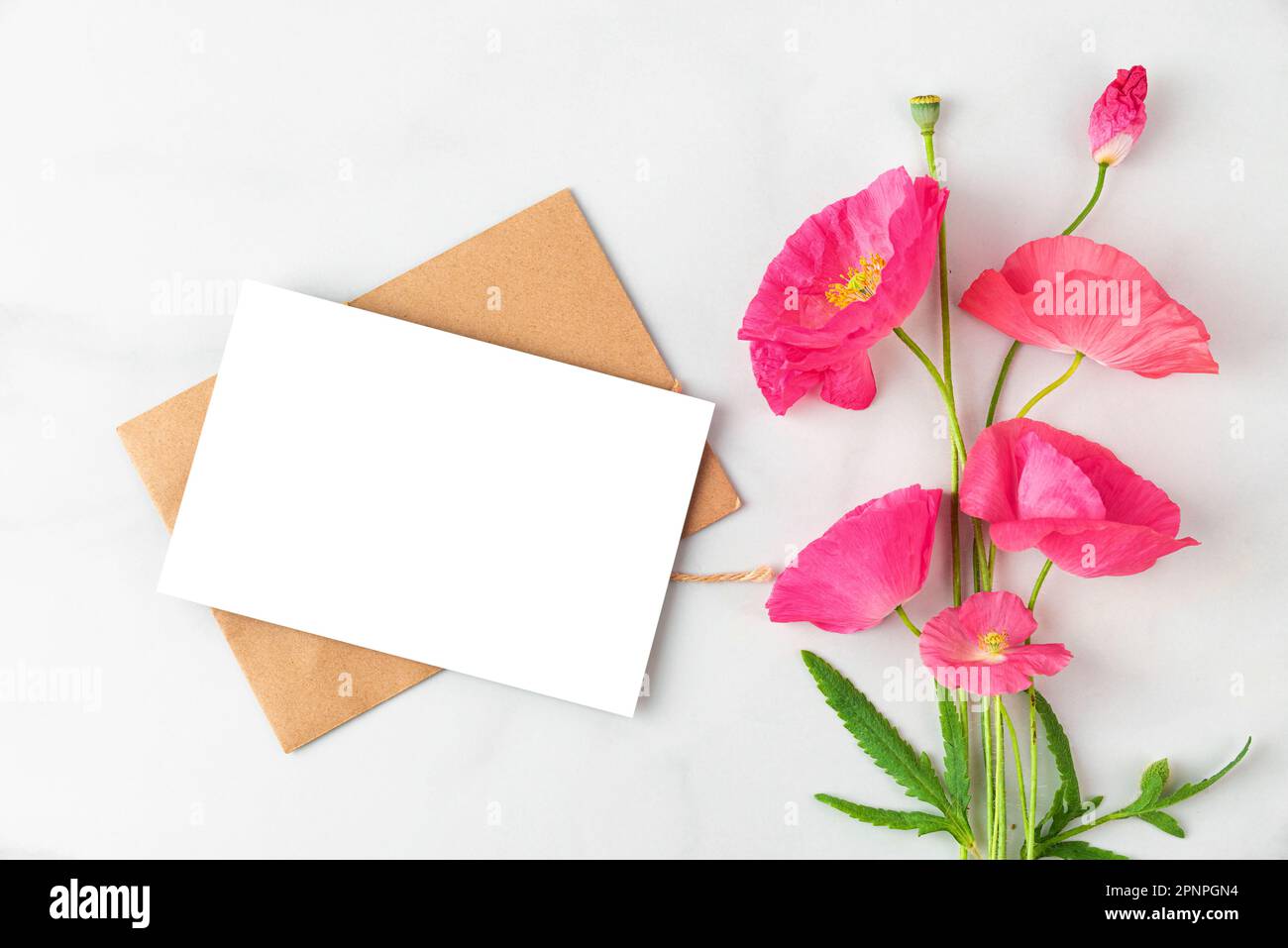 Blank greeting card with pink poppy flowers bouquet on white background ...