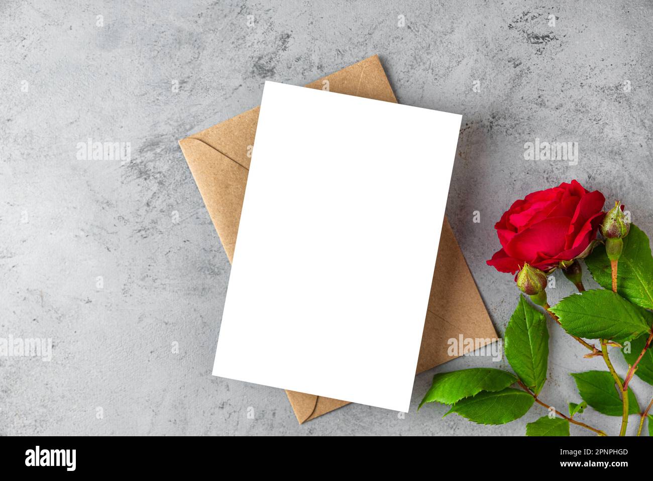 Blank greeting card and envelope with red rose flower on gray ...