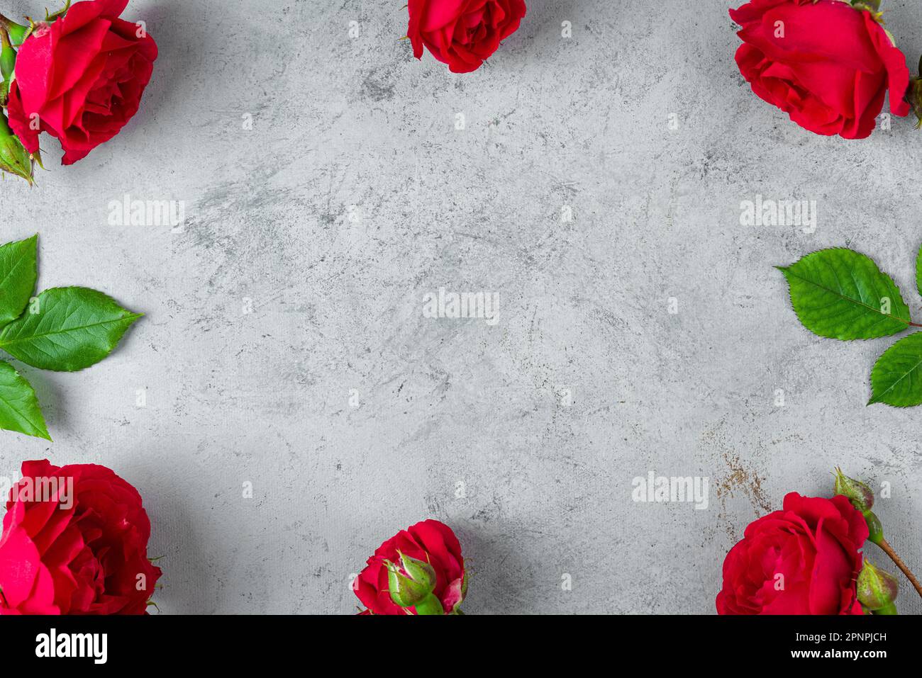 Flower composition. Frame made of red rose flowers on gray background ...
