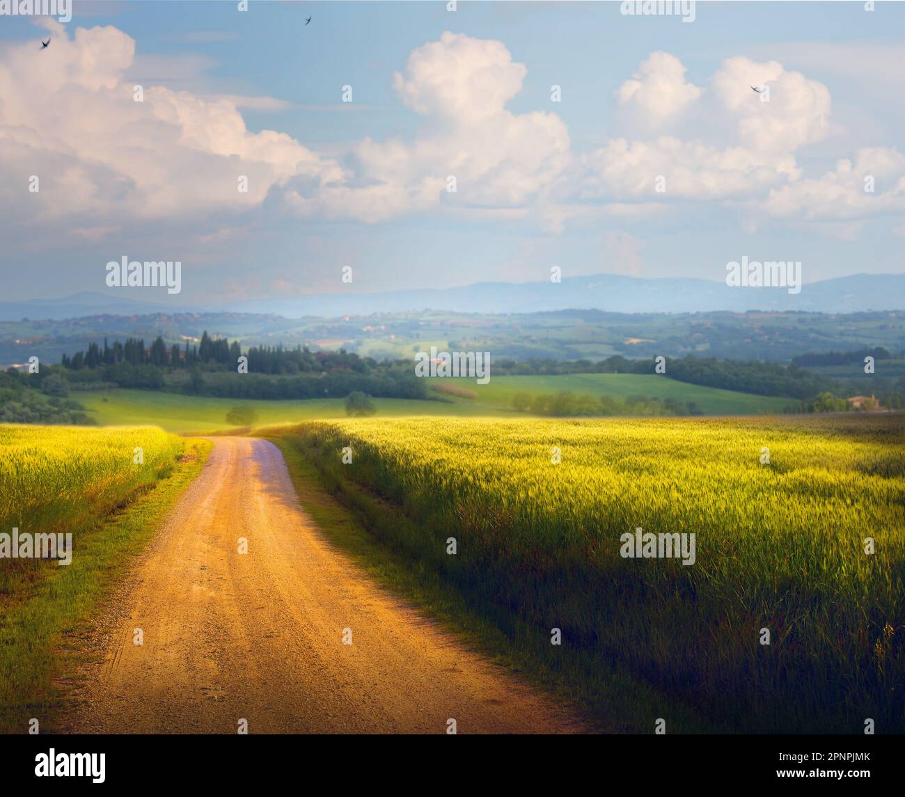 Italian Countryside Panorama of summer green field with dirt road and ...