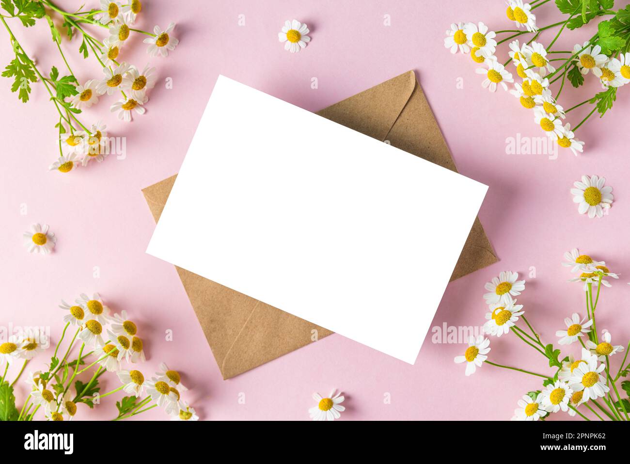 Pink Blank Invitation