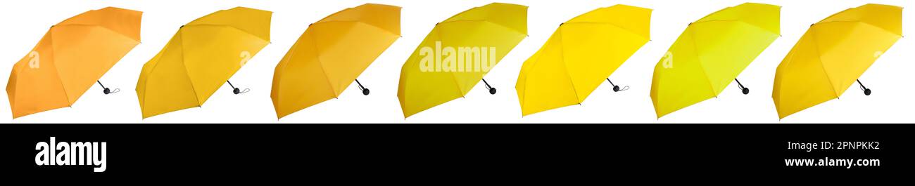 Set of different yellow colors umbrellas isolated on white background ...