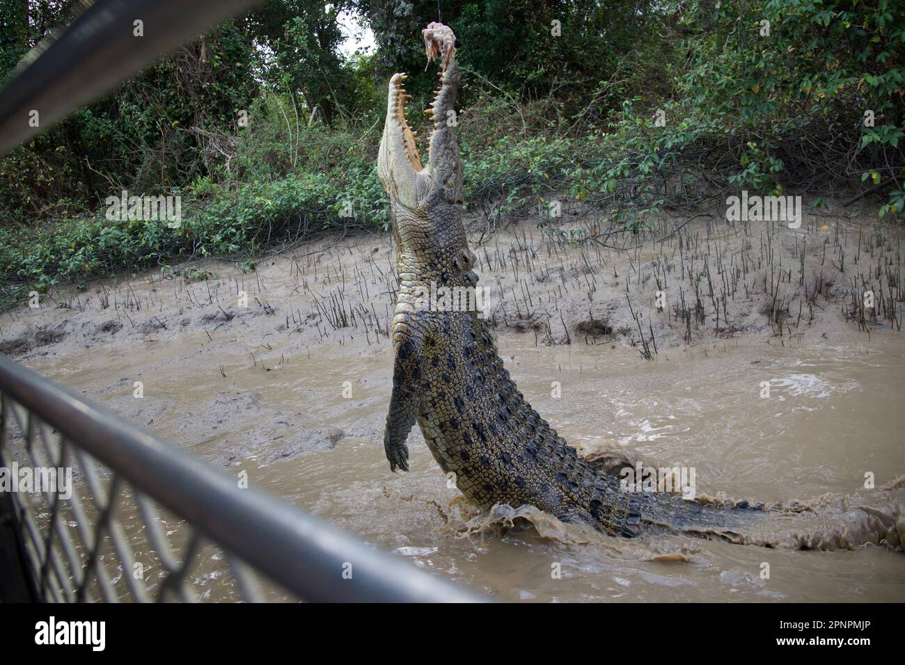 Northern territory nt hi-res stock photography and images - Alamy