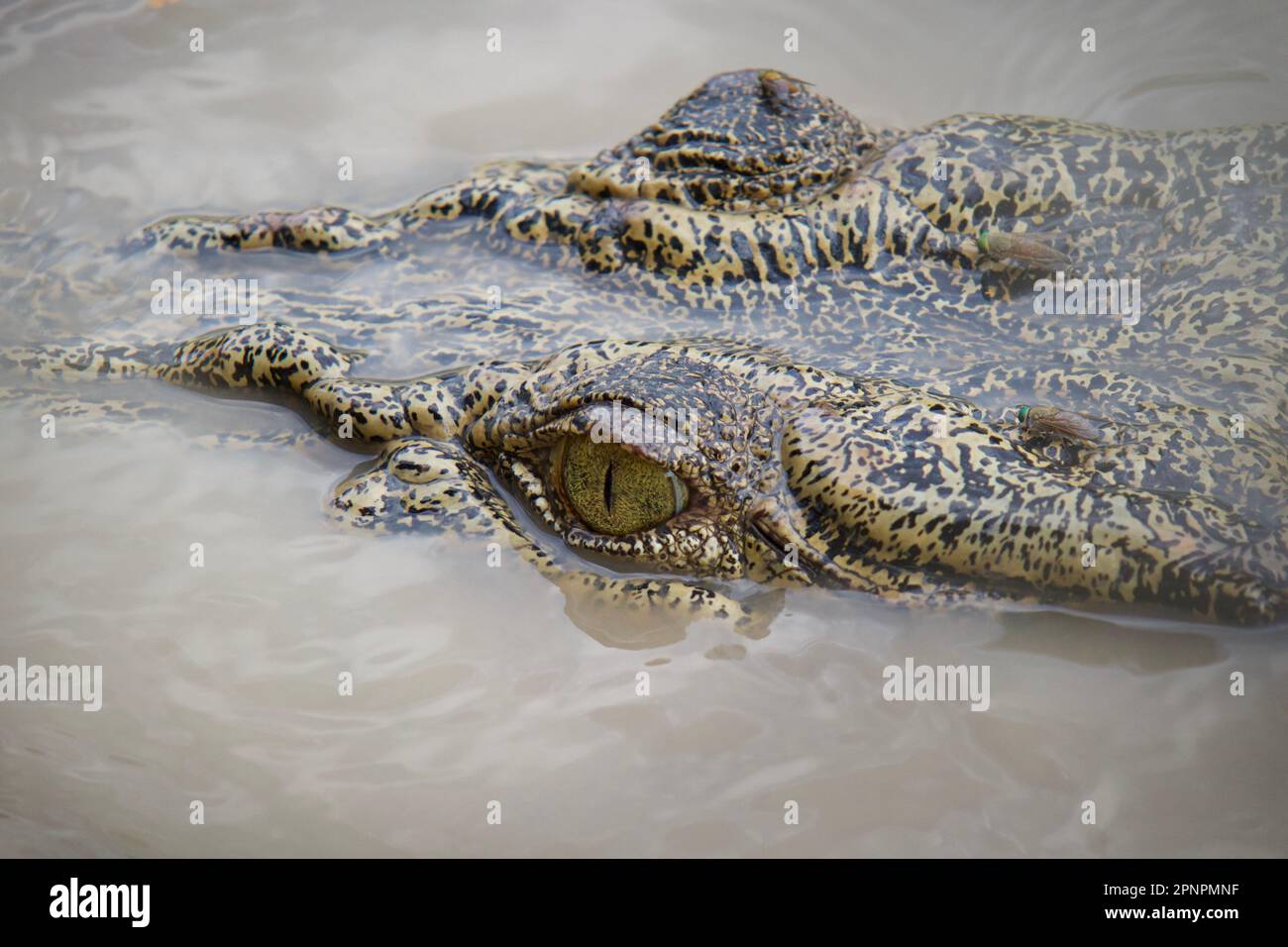 Flooded territories hi-res stock photography and images - Alamy