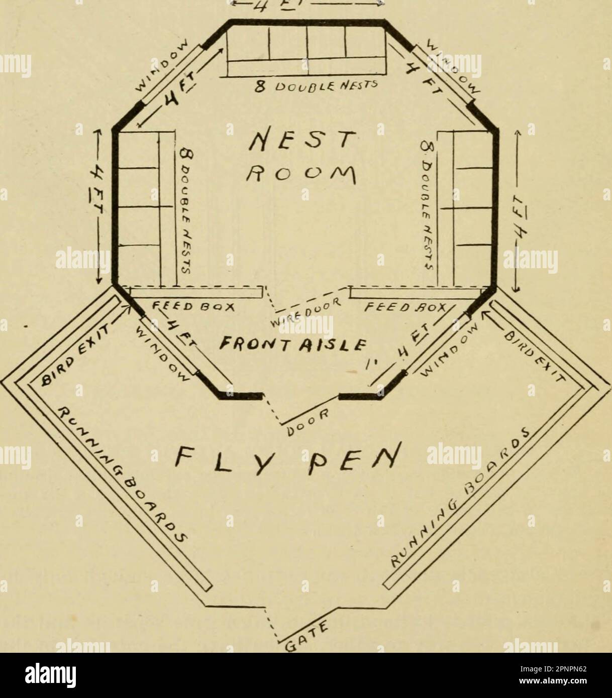 "American squab culture; a practical work on squab culture covering ...