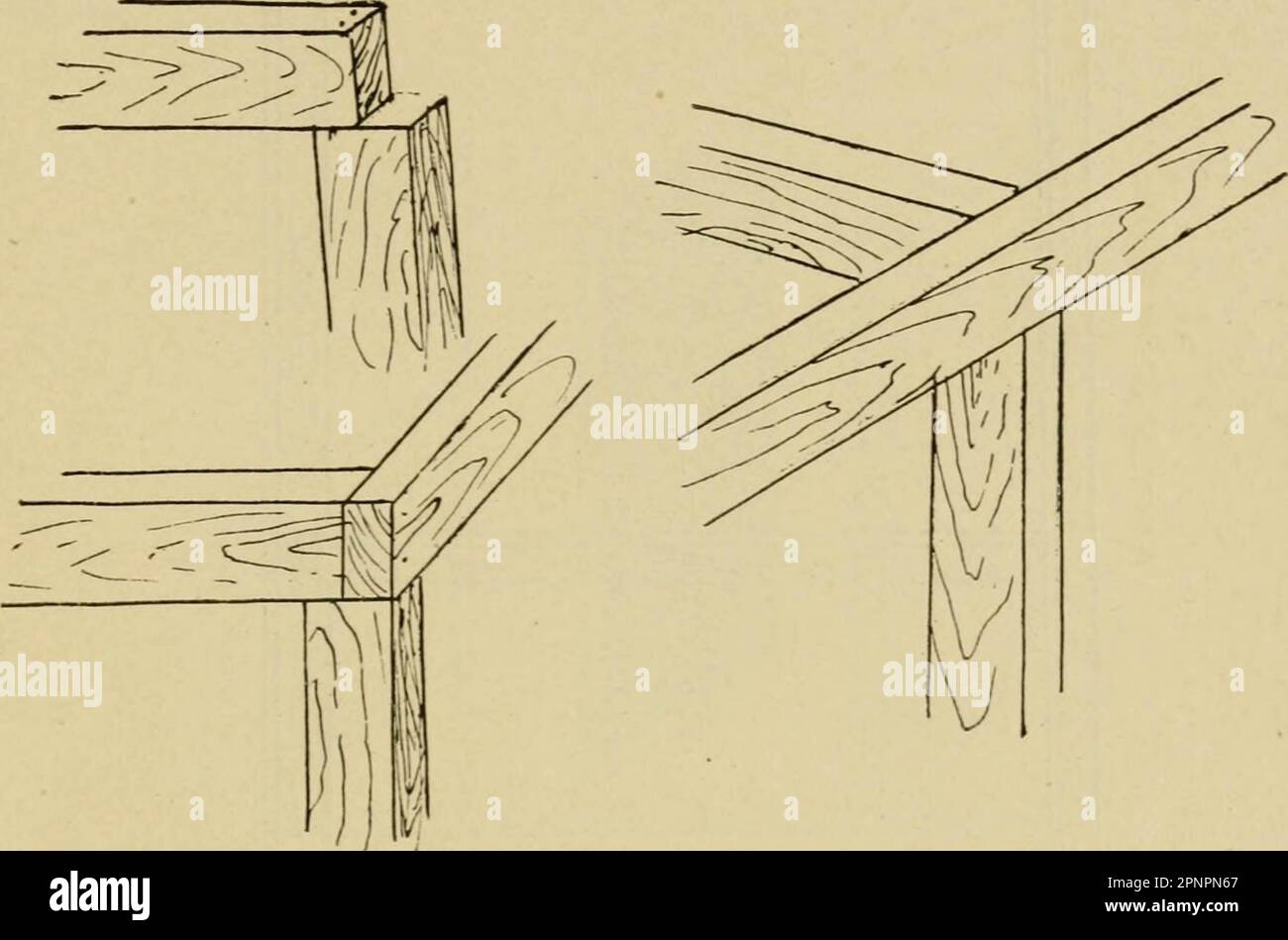 "American squab culture; a practical work on squab culture covering ...