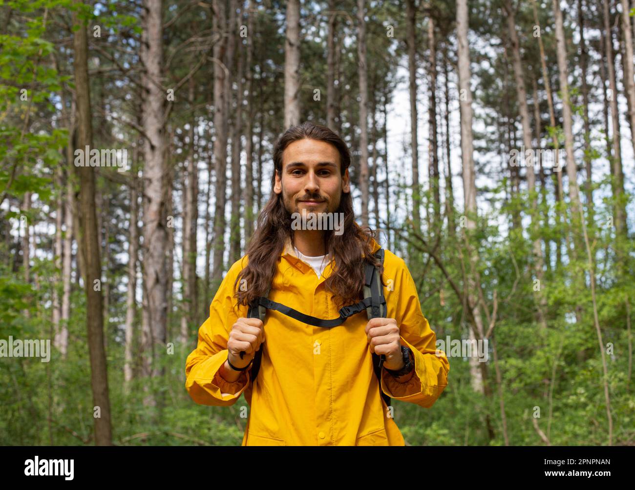 Foresthills hi-res stock photography and images - Alamy