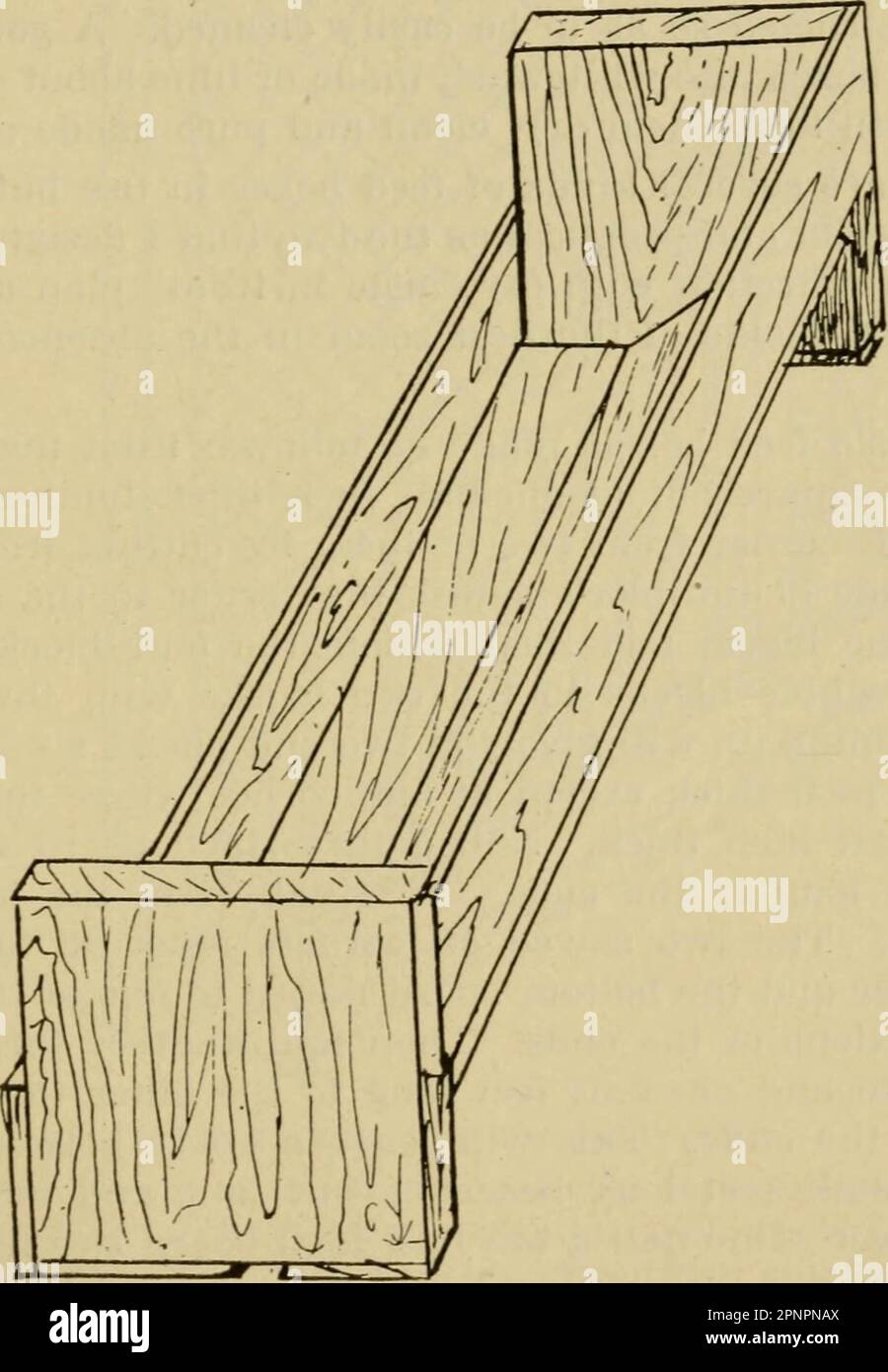 "American squab culture; a practical work on squab culture covering ...