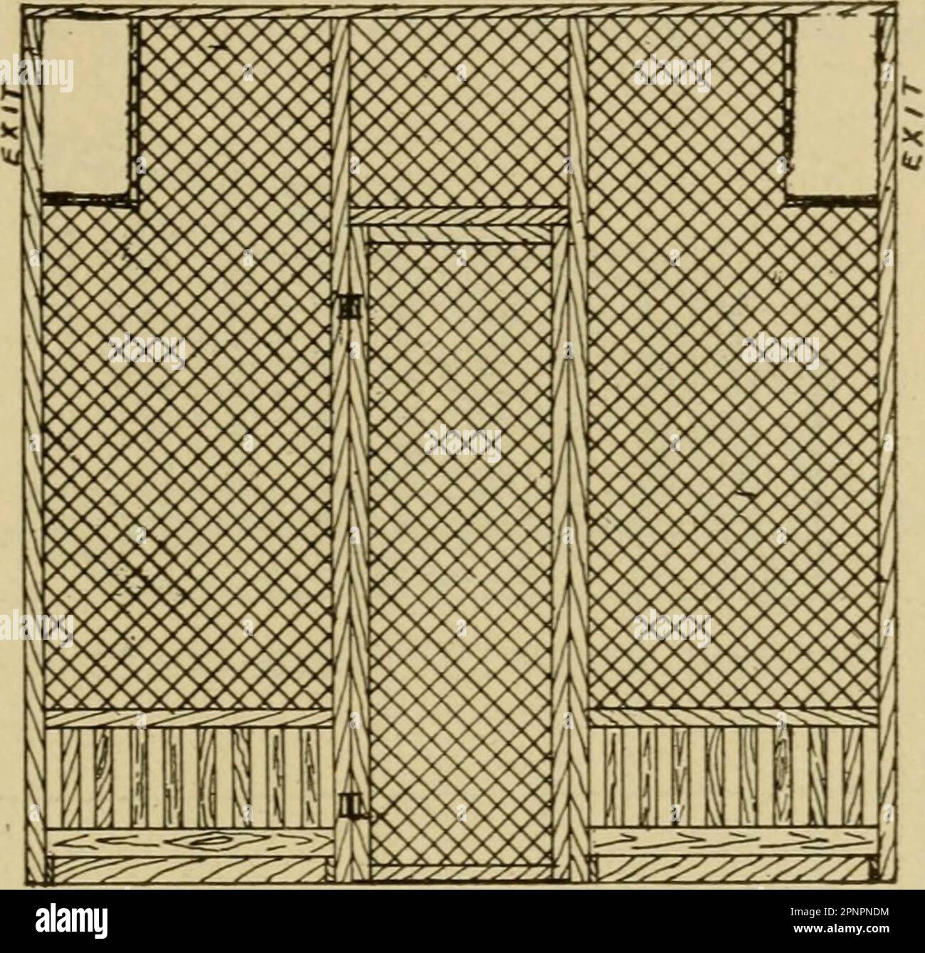 "American squab culture; a practical work on squab culture covering ...