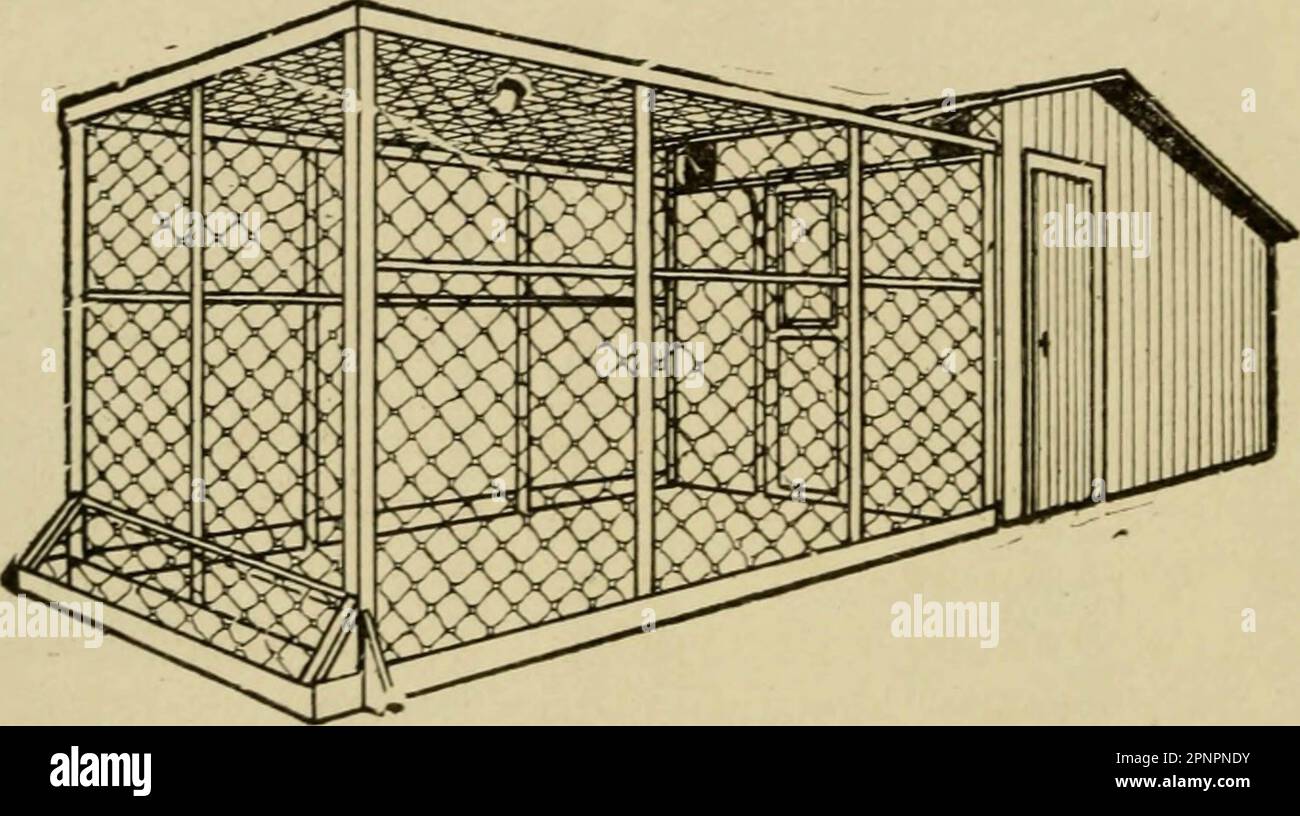 "American squab culture; a practical work on squab culture covering ...