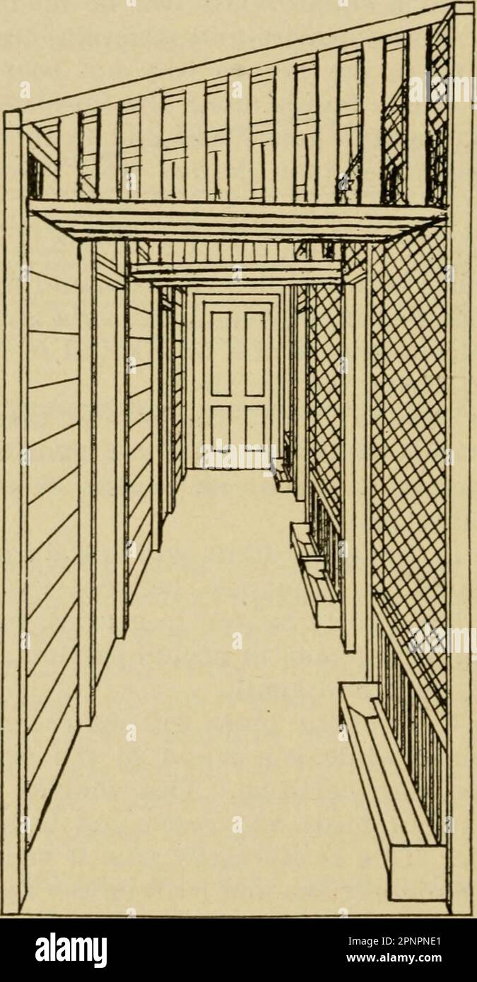 "American squab culture; a practical work on squab culture covering ...