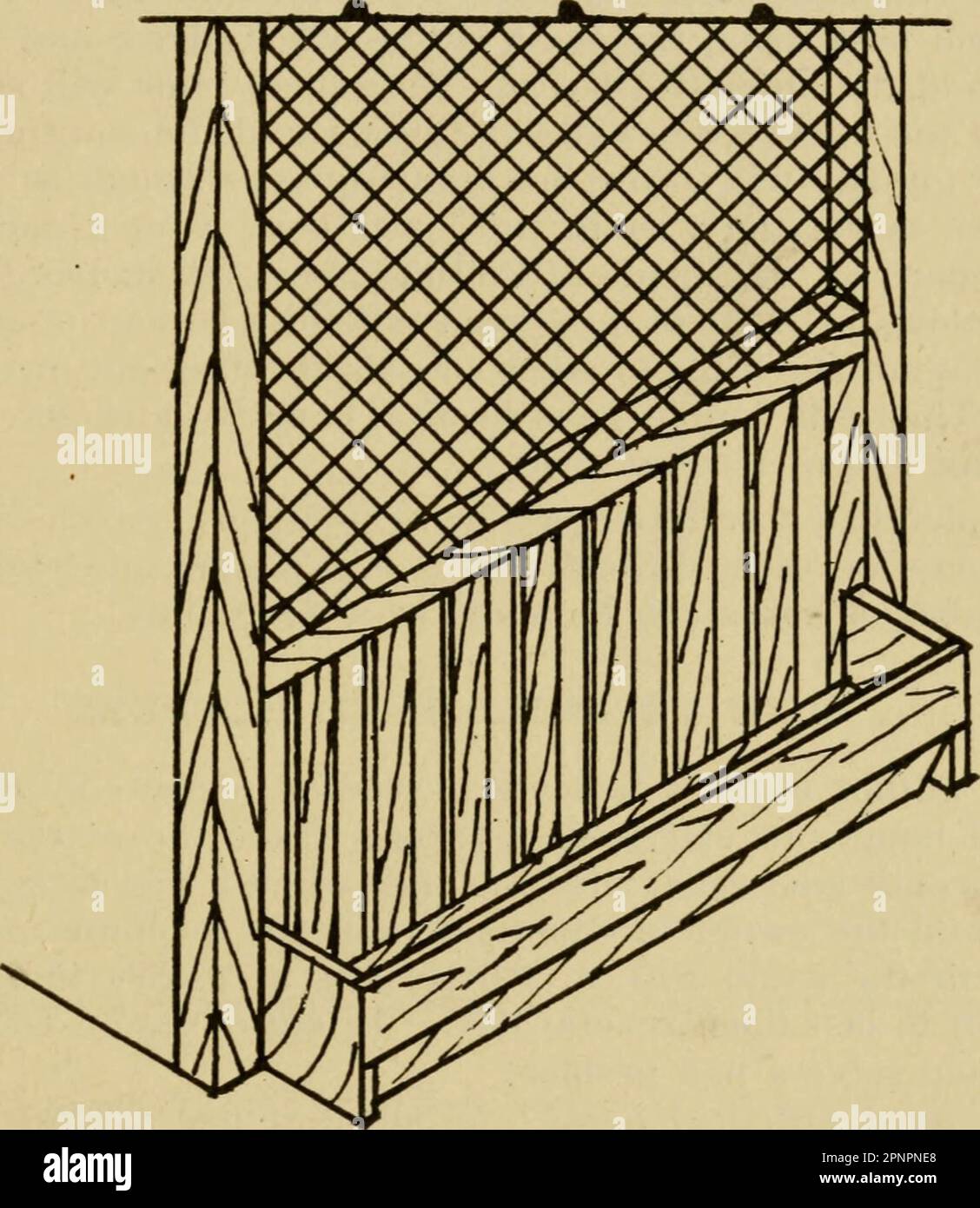 "American squab culture; a practical work on squab culture covering ...