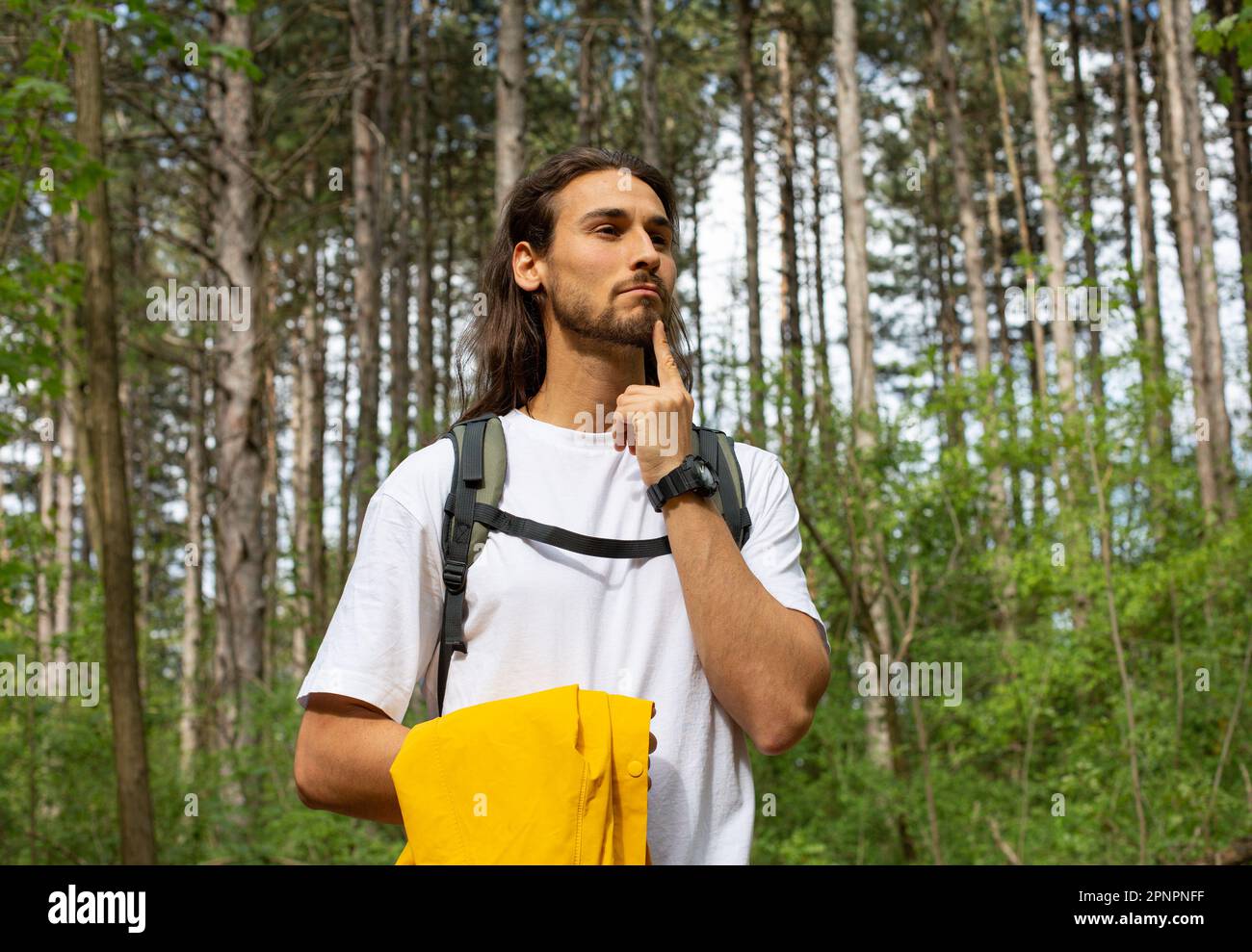 Forestgreen hi-res stock photography and images - Alamy