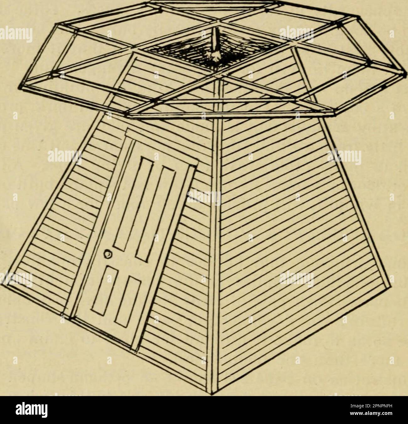 "American squab culture; a practical work on squab culture covering ...