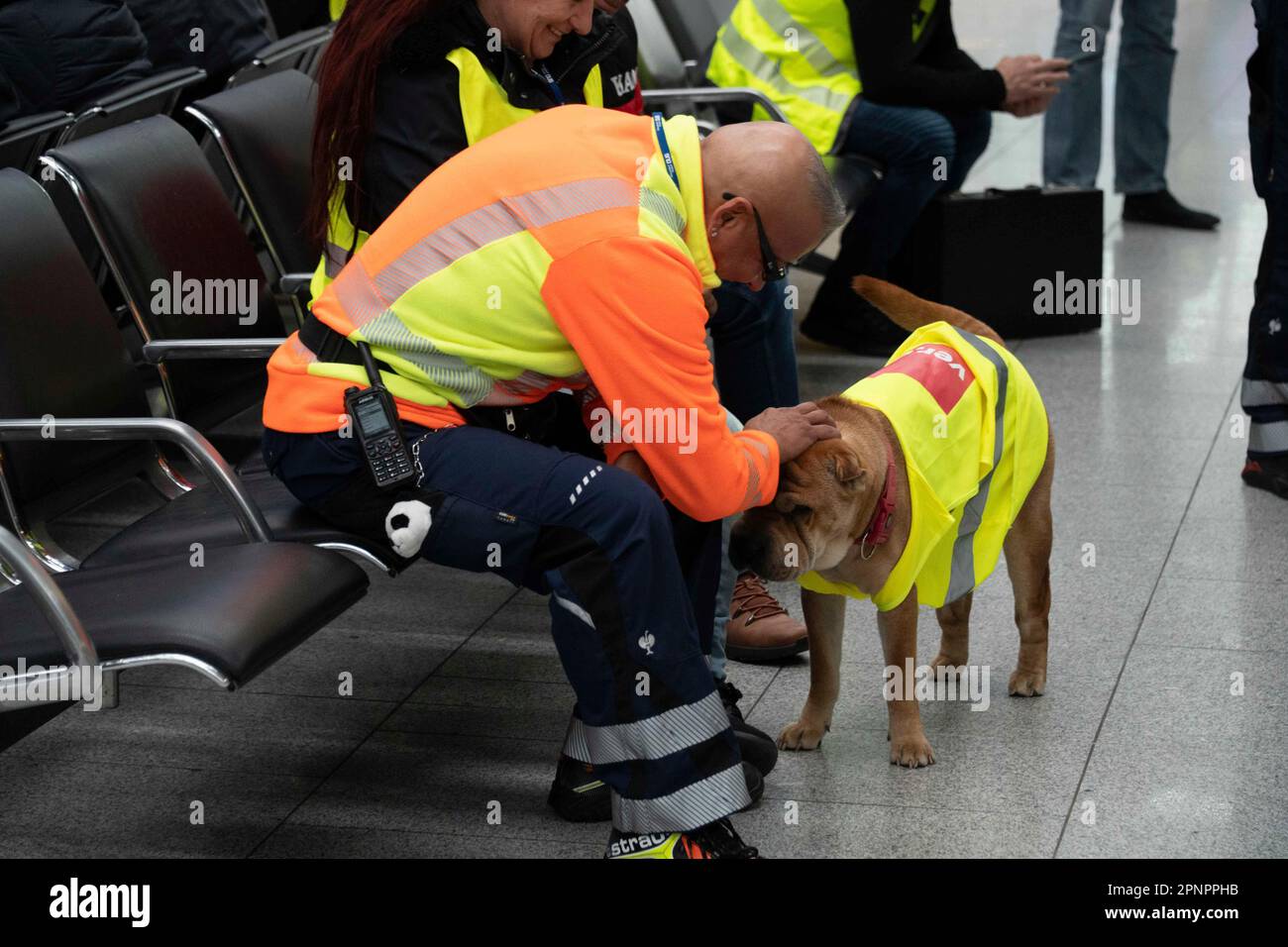 Dusseldorf, Deutschland. 20th Apr, 2023. Dog with a Verdi shirt ...
