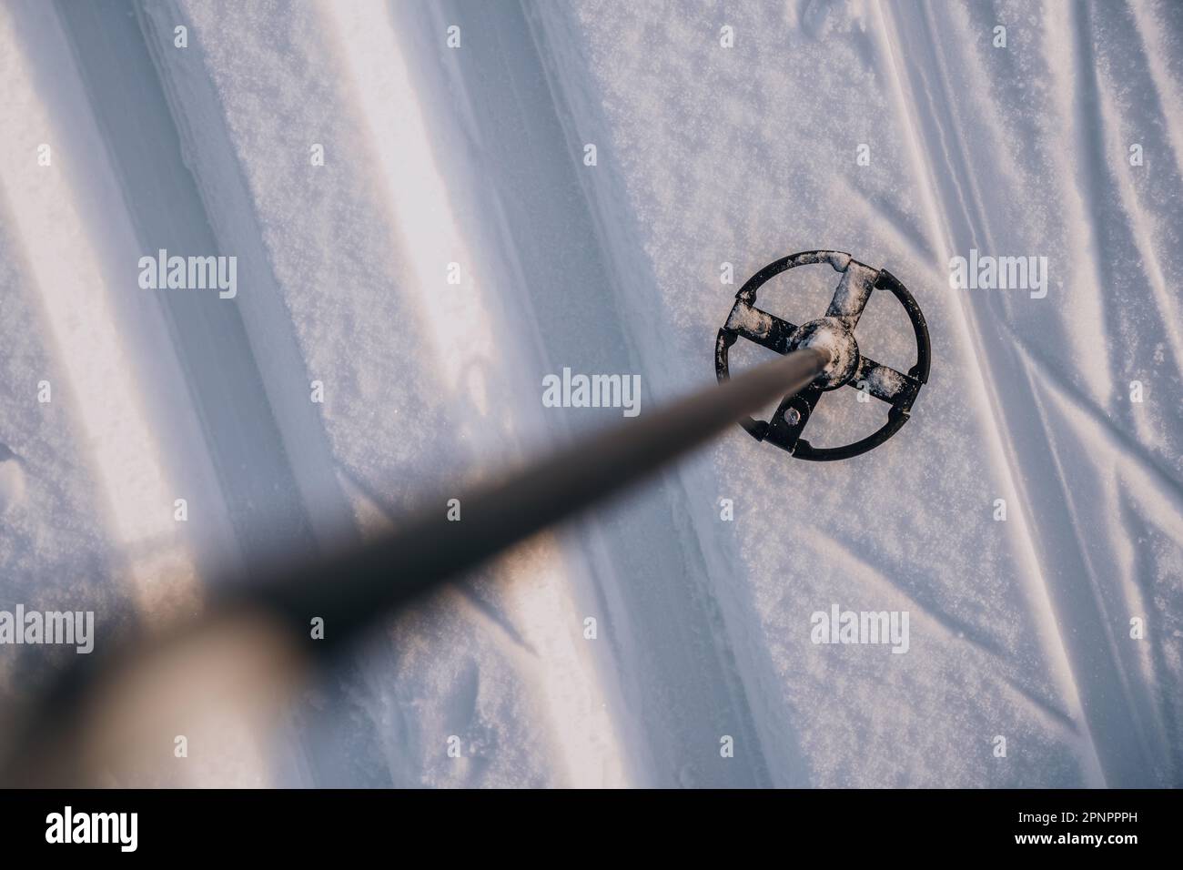 A top-down view of a ski pole planted in a bed of freshly fallen snow ...