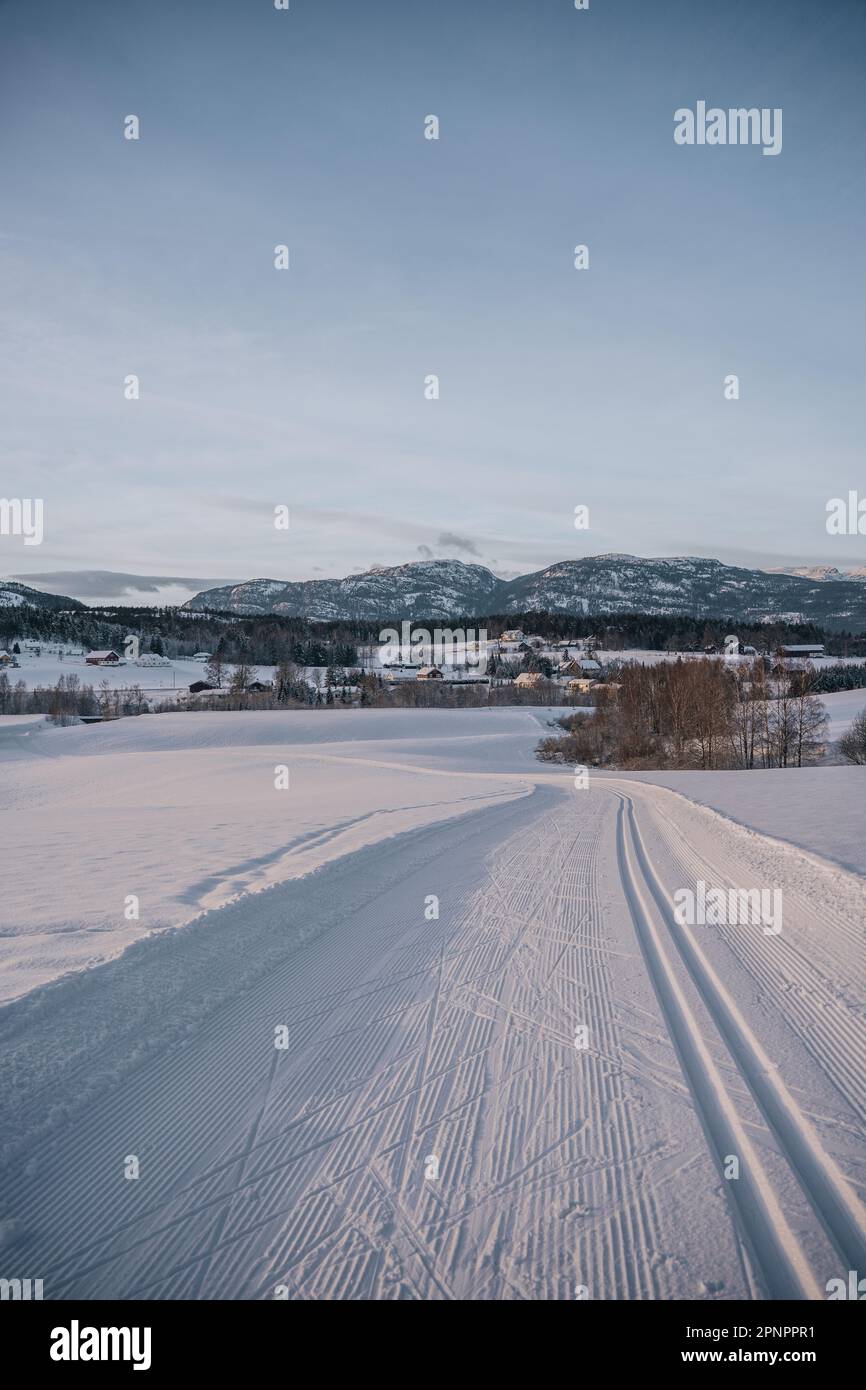 A scenic winter scene of a single cross country ski trail meandering ...