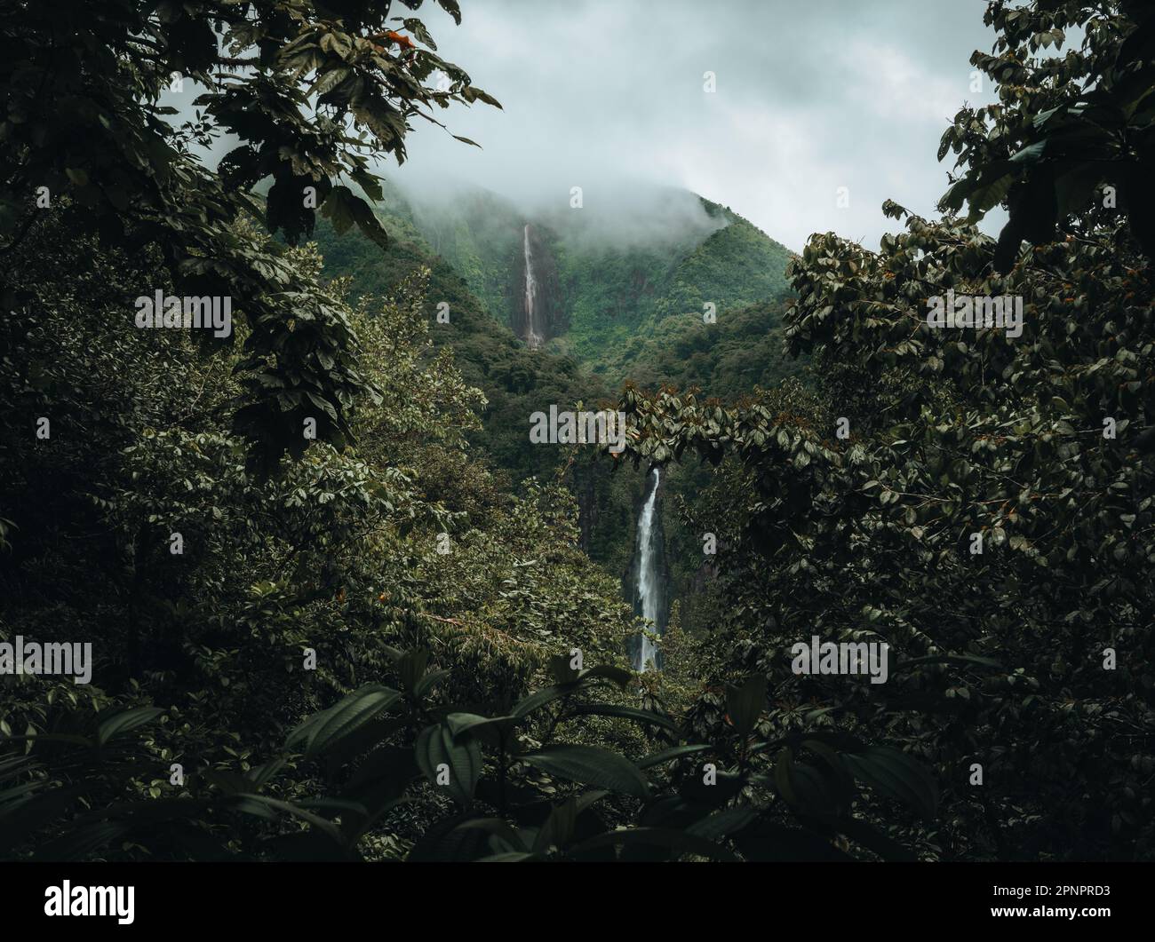 Carbet Waterfalls, Guadeloupe, Lesser Antilles, Caribbean Sea Stock ...