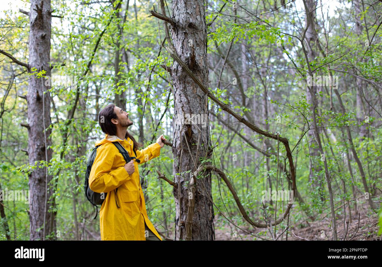 Foresthills hi-res stock photography and images - Alamy