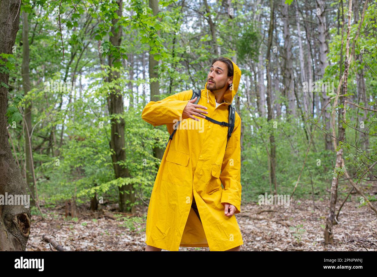 Man walking into forest hi-res stock photography and images - Alamy