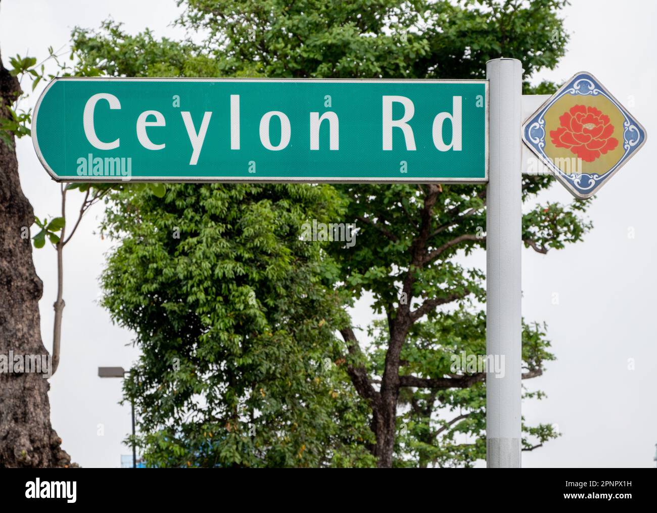 Green street sign in downtown Singapore Stock Photo - Alamy