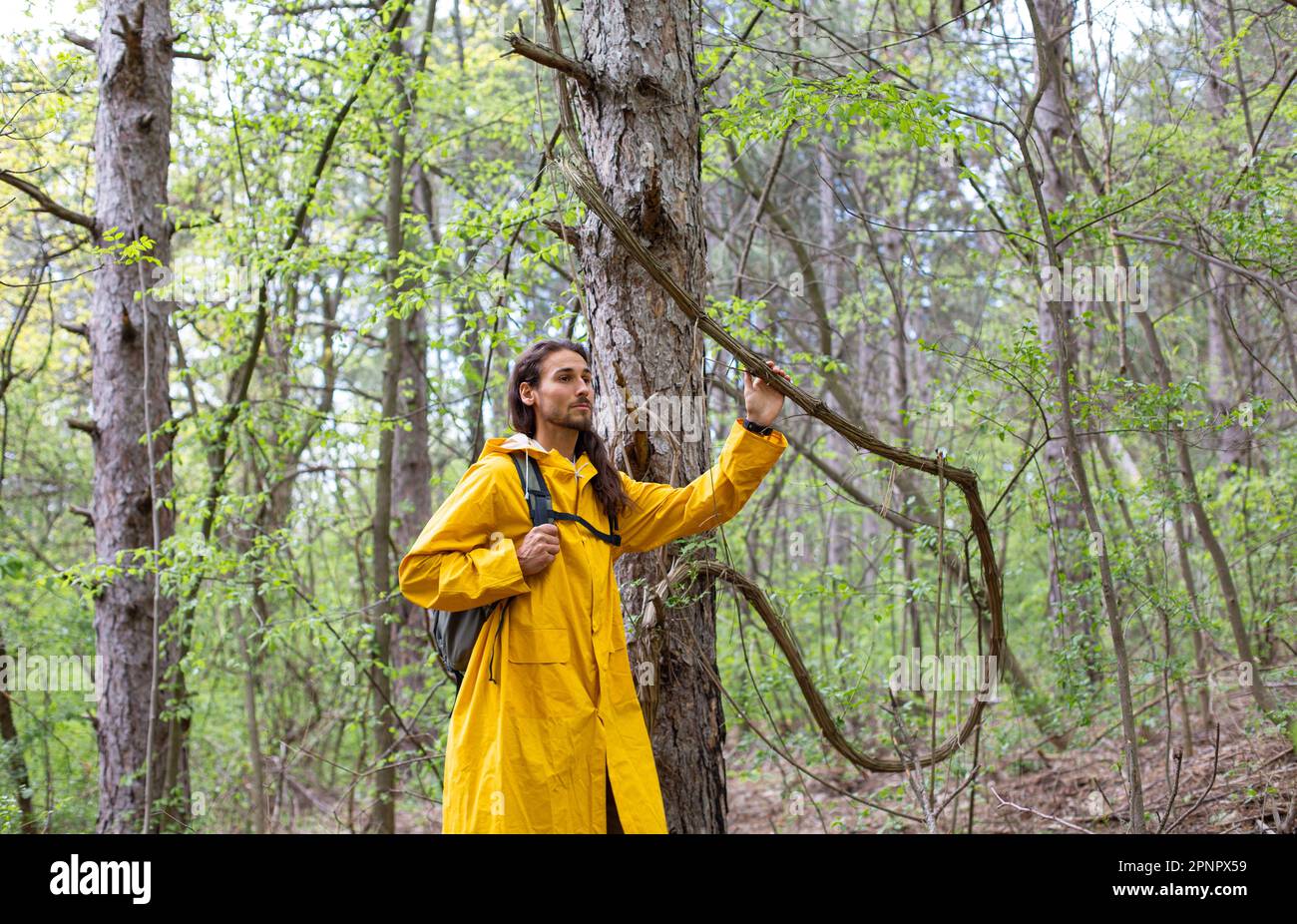 Man walking in forest Stock Photo - Alamy