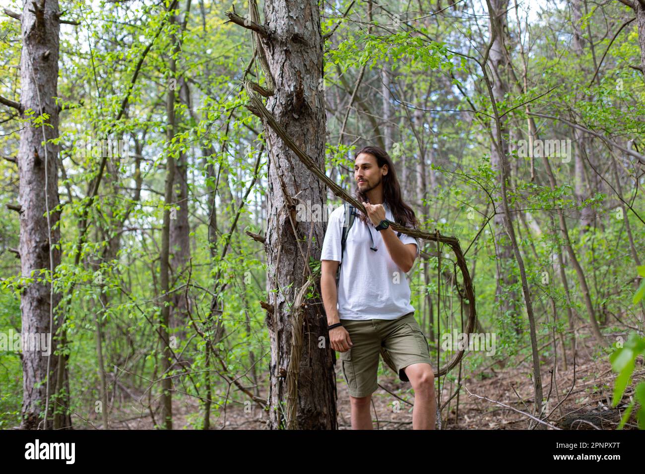 Man walking in forest Stock Photo - Alamy