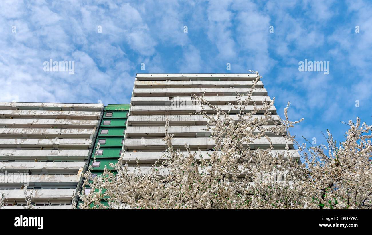 Facade with rows of white, concrete balconys and green structure of ...