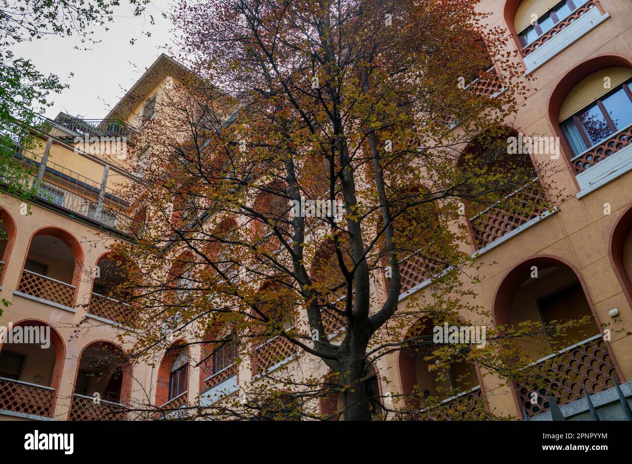 Marco de color hi-res stock photography and images - Alamy
